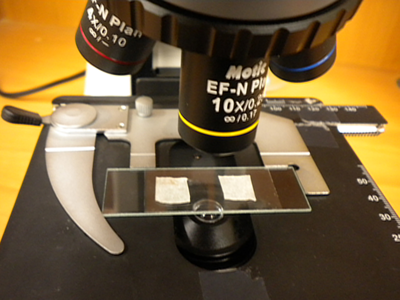 Tracking Brownian motion through video microscopy | PhysLab